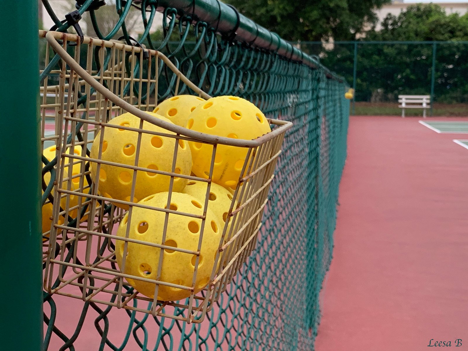How pickleball Is Played? What Is Pickleball? – Pickleball Nook